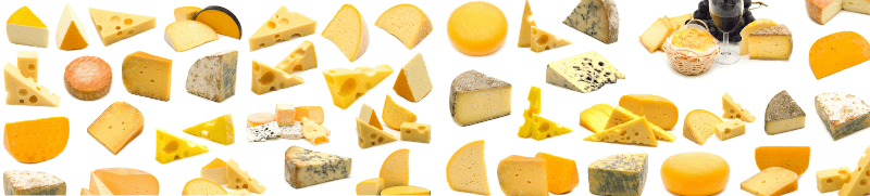Les États-Unis à la recherche des secrets du fromage au lait cru